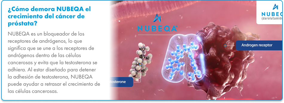 Acerca de NUBEQA® (darolutamida) | Sitio web para pacientes